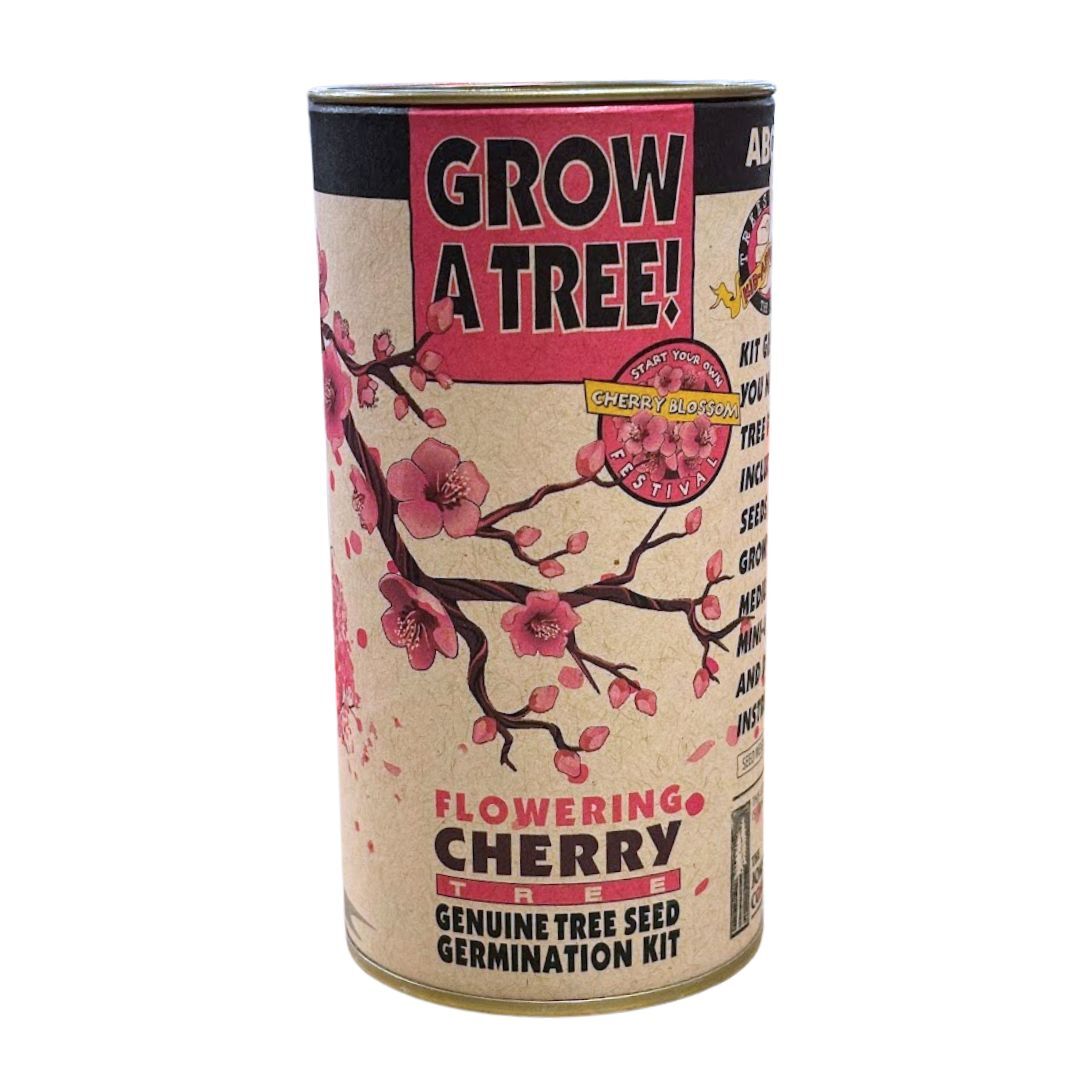 Cherry Blossom Tree Growing Kit | The Old Town Shop